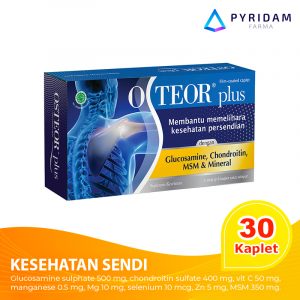 Jual Syalox 300 P - Hyaluronic Acid + Boswellia Serata Bantu Redakan ...