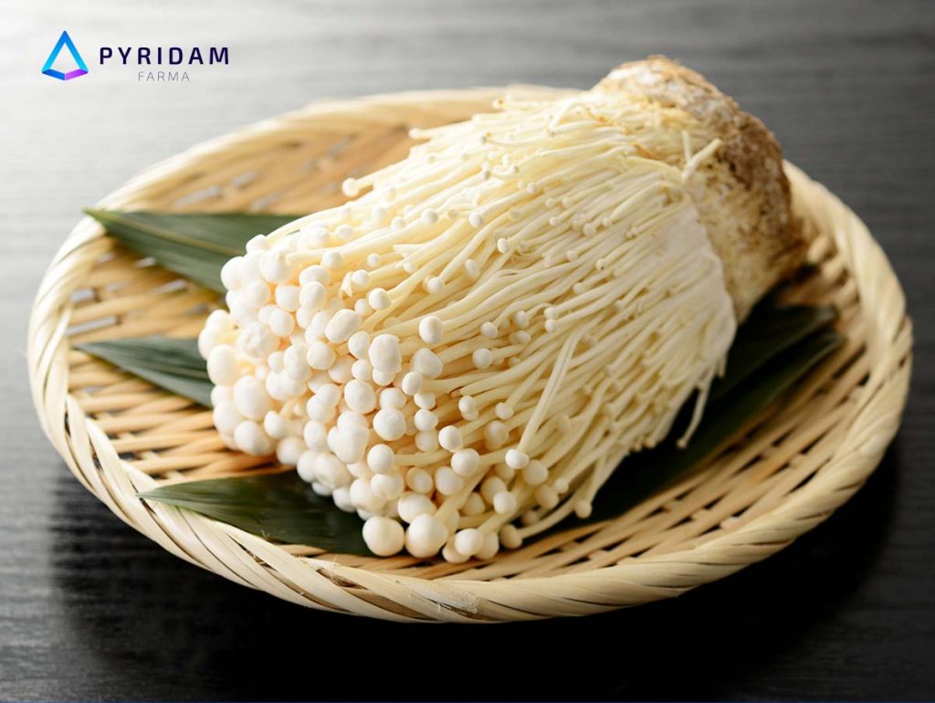 Lezat dan Kaya Gizi, Ini 5 Manfaat Luar Biasa Jamur Enoki