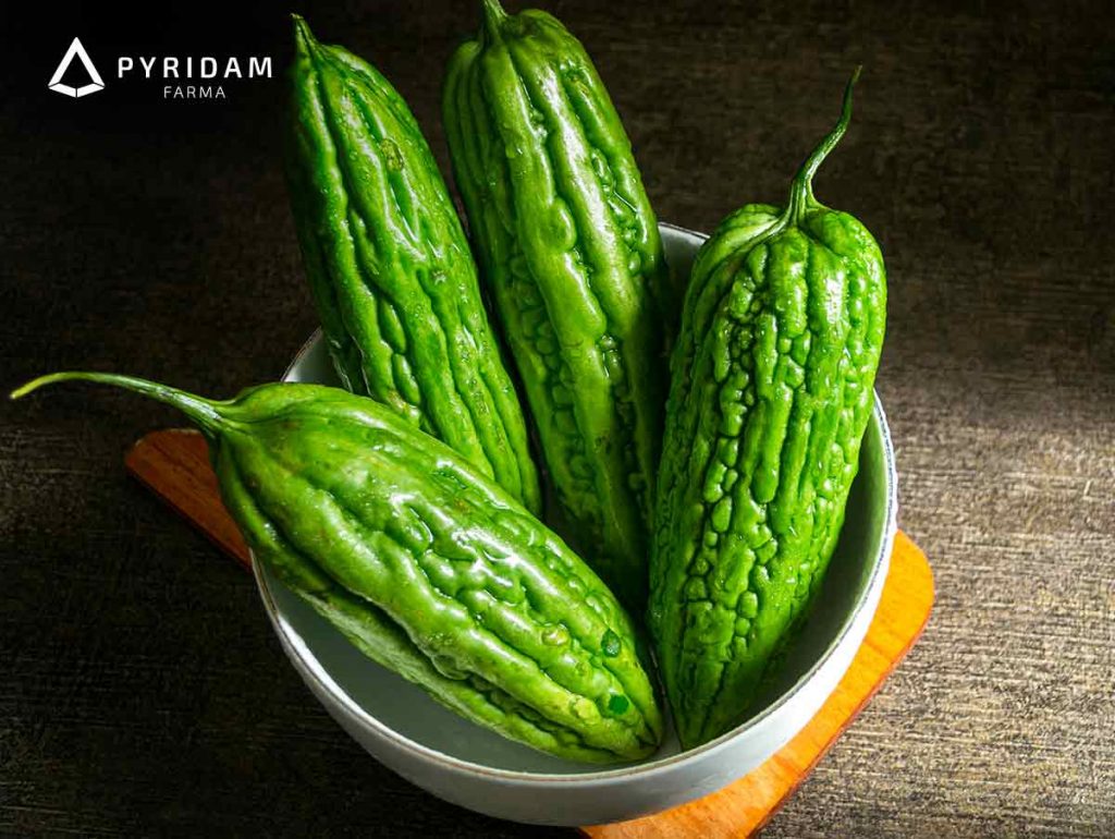 Pahit Namun Bergizi: 6 Manfaat Pare untuk Kesehatan