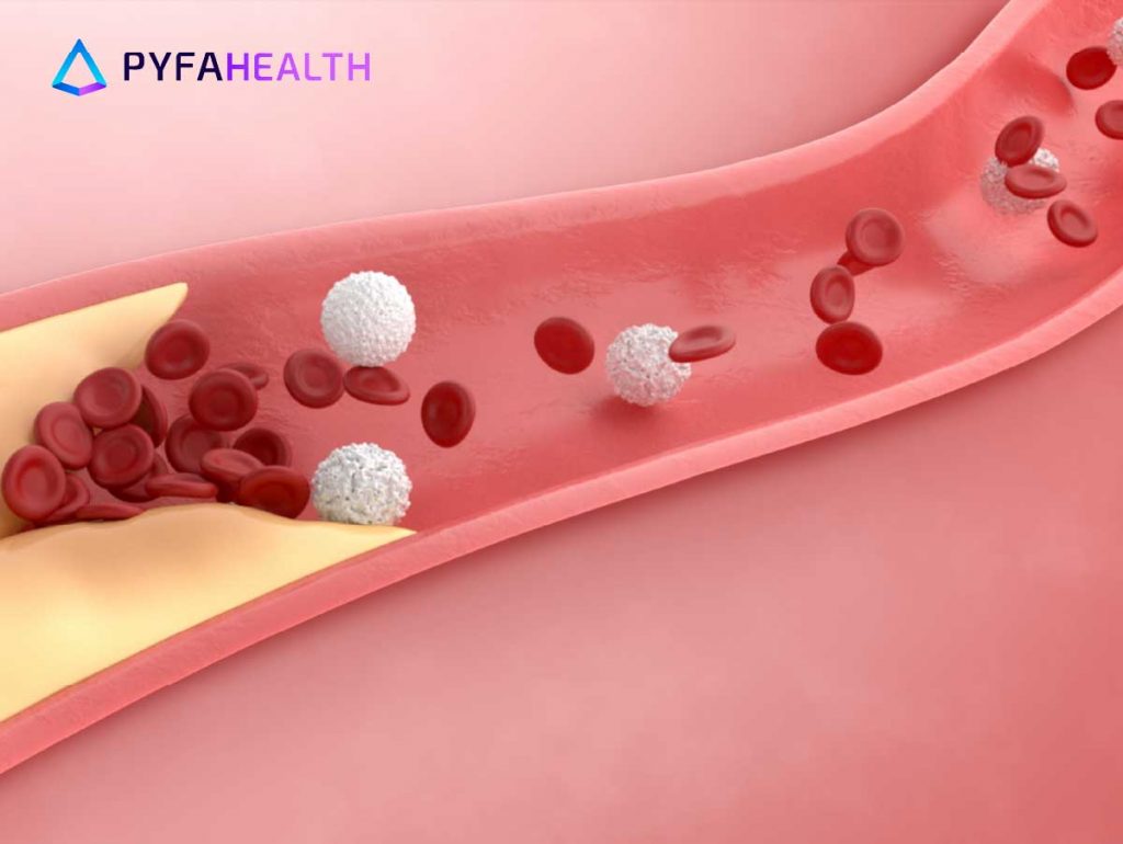 Apa Itu Leukosit, Fungsi, dan Jumlah Normalnya pada Manusia