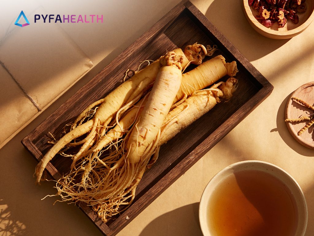Daftar Obat Alami untuk Daya Tahan Tubuh: Ginseng Hingga Royal Jelly ...