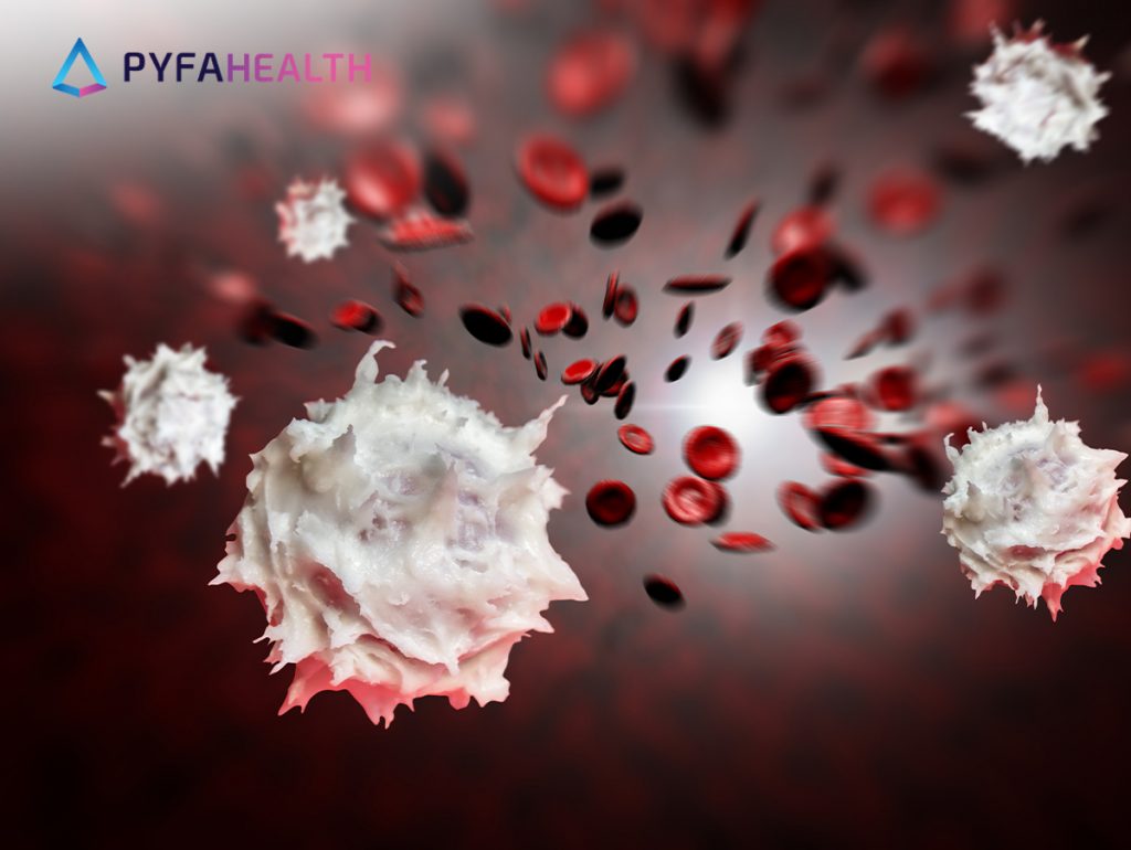 Ketahui Fungsi Sel Darah Putih dan Kadar Normalnya