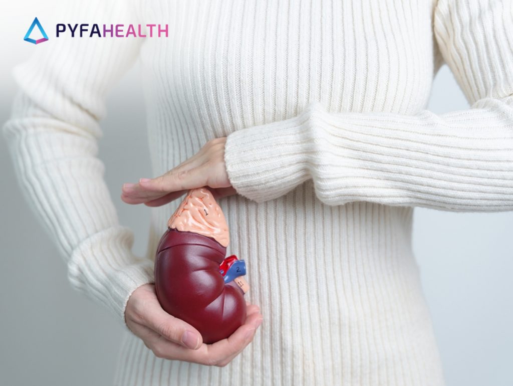 Nefron Ginjal: Fungsi, Struktur, dan Cara Kerjanya - PYFA Health